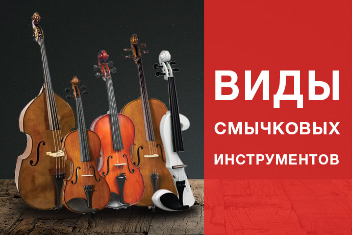 Виды смычковых инструментов | musicmarket | Дзен