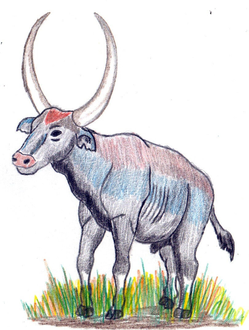 Часть 2. Полорогие. | Страницы Земли | Дзен