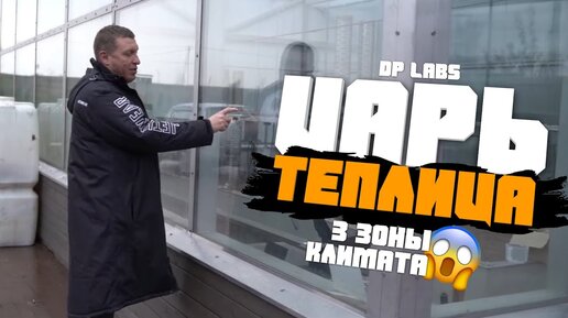ТЕПЛИЦА МЕЧТЫ! Три зоны климата и вход в бахилах! | DPLabs | Дзен
