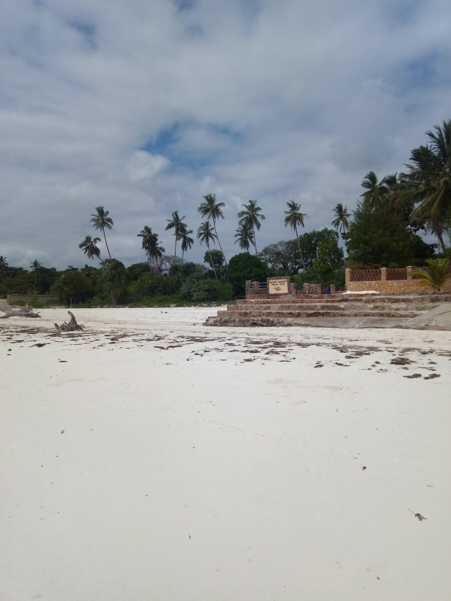 Личный опыт путешествия в Кению (маршрут, еда, жилье) | География | Дзен