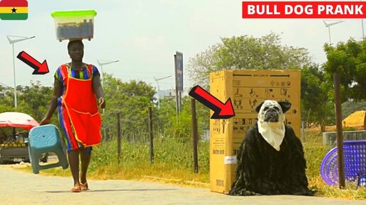 😂😂😂Злой розыгрыш Бульдога. КАКОЙ РАЗБРОС! 😂😂😂An evil Bulldog prank ...