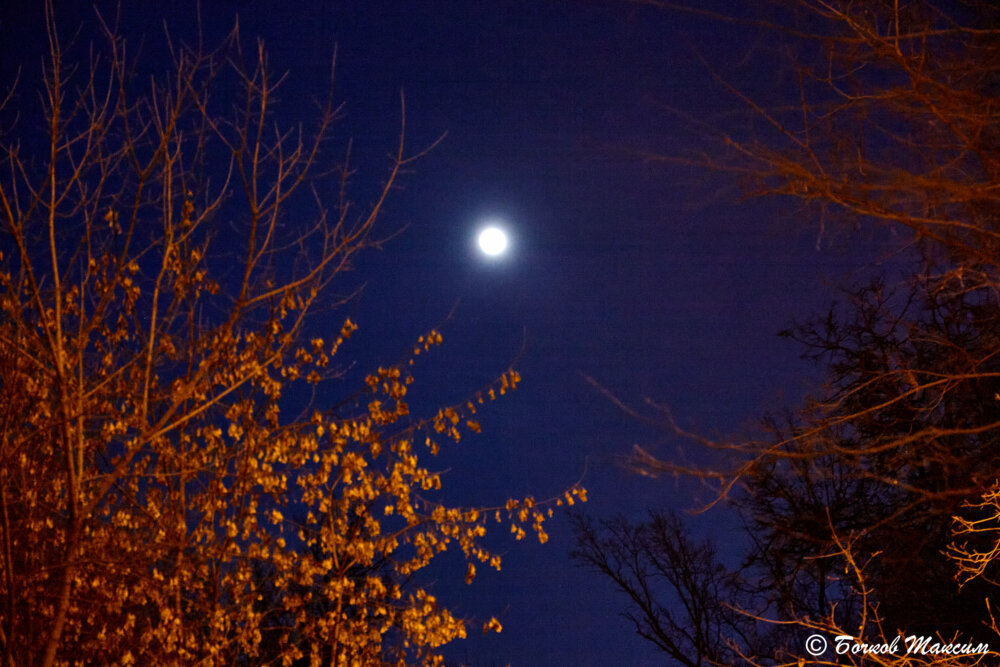 «Змей» (часть 66) | MAX67 - Хранитель Истории | Дзен