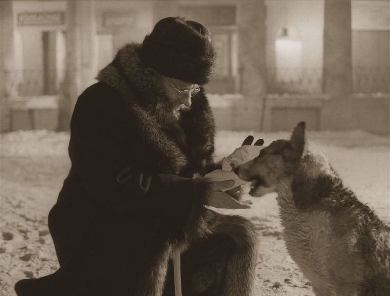 Пёс Карай - реальная история четвероногого актёра из знаменитого фильма ...