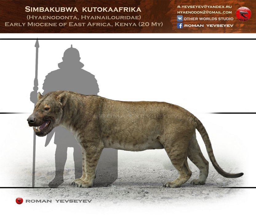Симбакубва (Simbakubwa kutokaafrika) – гигантский лев, который ко львам ...