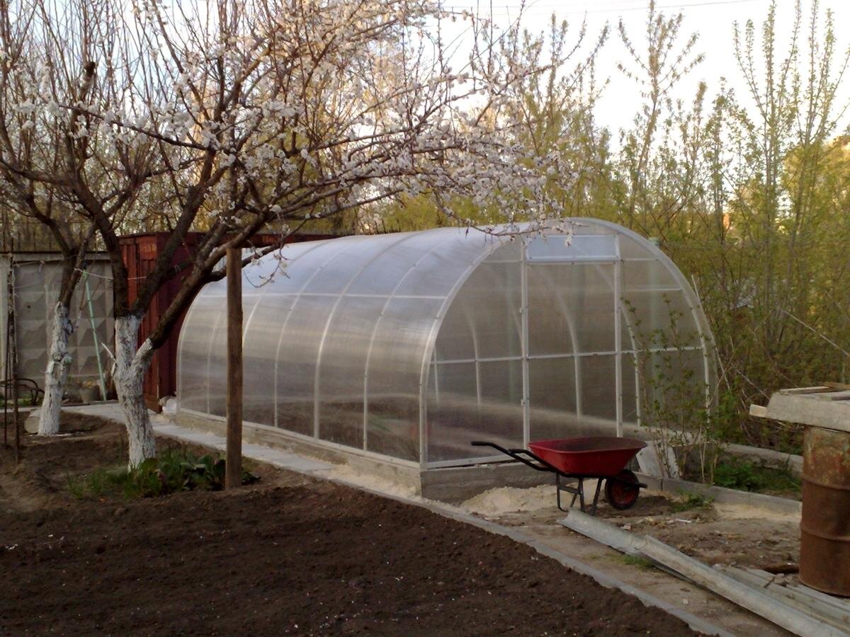 Отличный способ очистки почвы в теплице весной от инфекции и вредителей ...