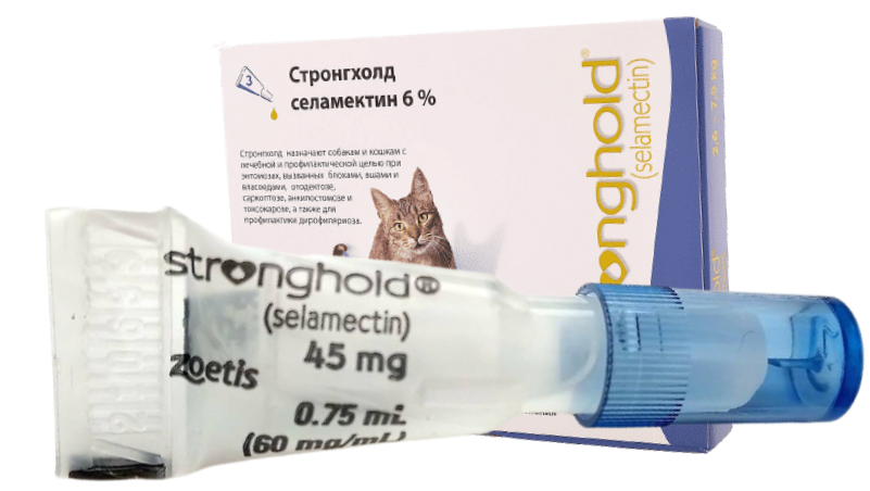 Как раз и навсегда избавиться от ушного клеща у котенка | КотоВедение ...