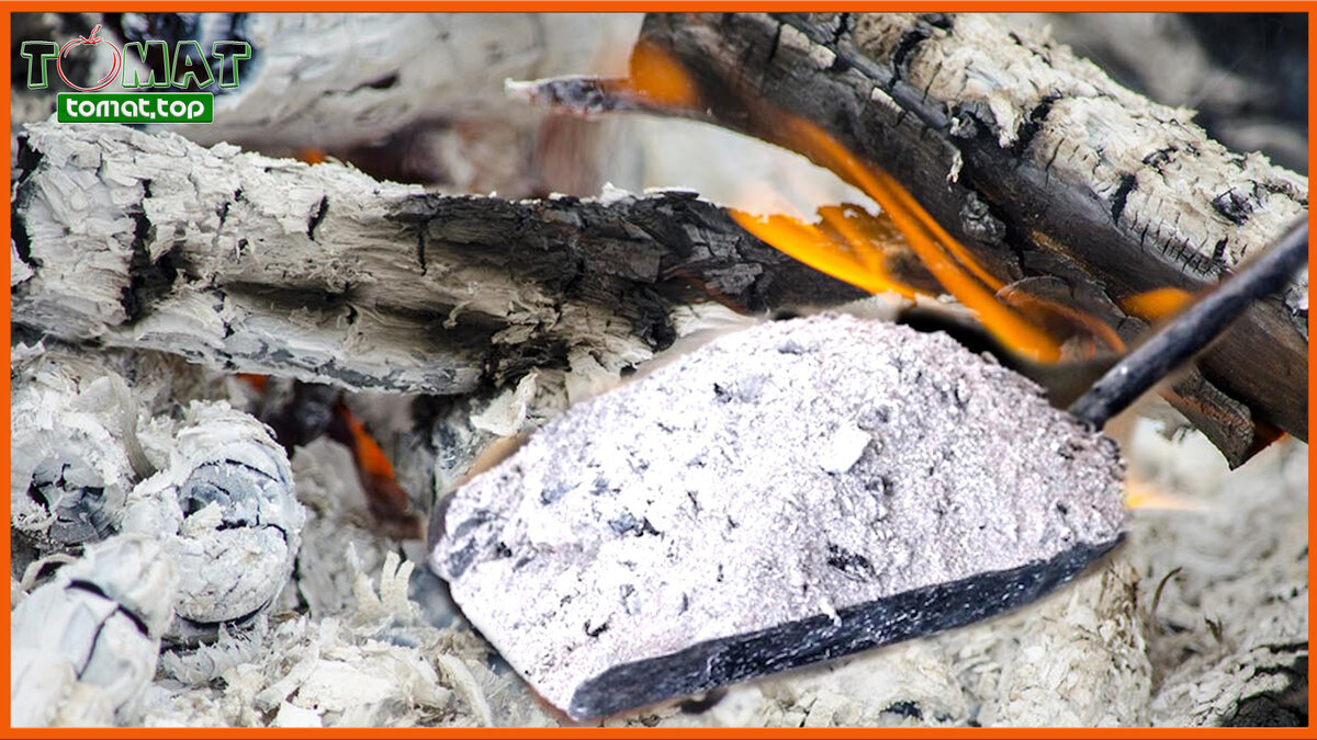 Суперподкормка для томатов. Лучшая комплексная подкормка для томатов ...