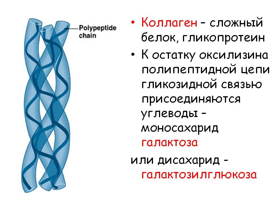 Лучший коллаген для женщин: приготовление в домашних условиях | Татьяна ...