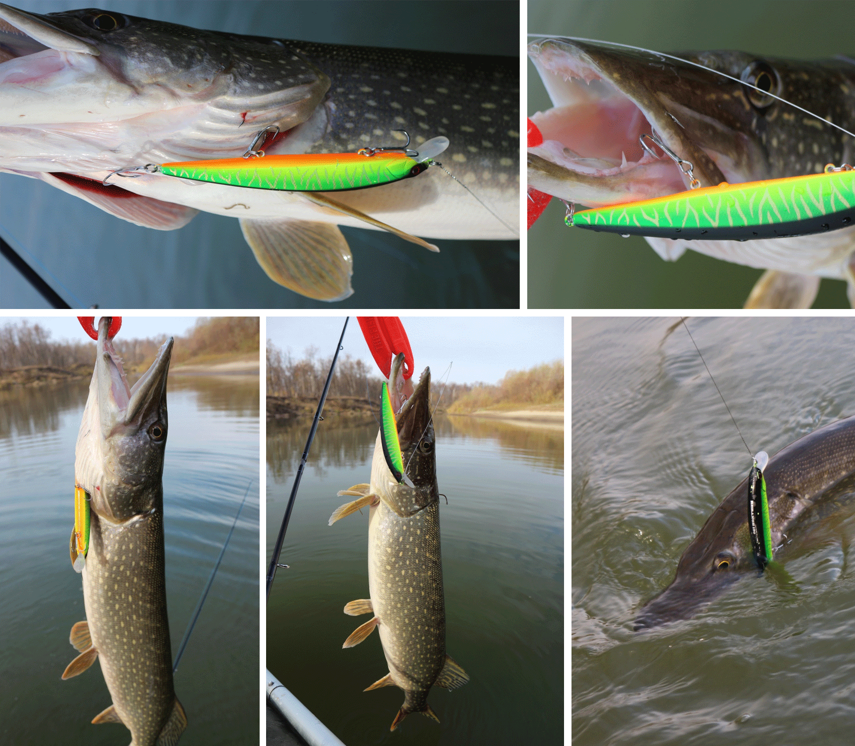 Когда лучше ловить щуку. Активность по сезонам | Рыбалка Лучший отдых ...