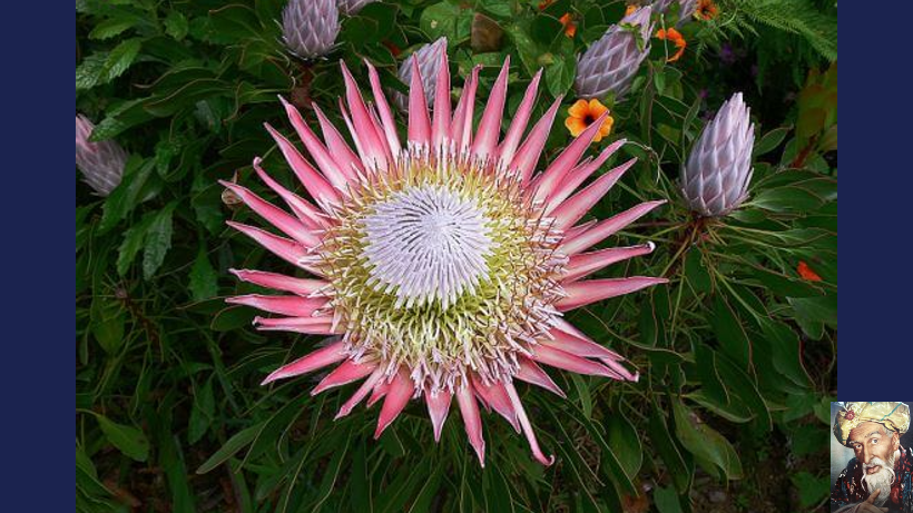 Тест на проверку кругозора Вас можно назвать эрудитом если ответили на 5 8 вопросов Старик