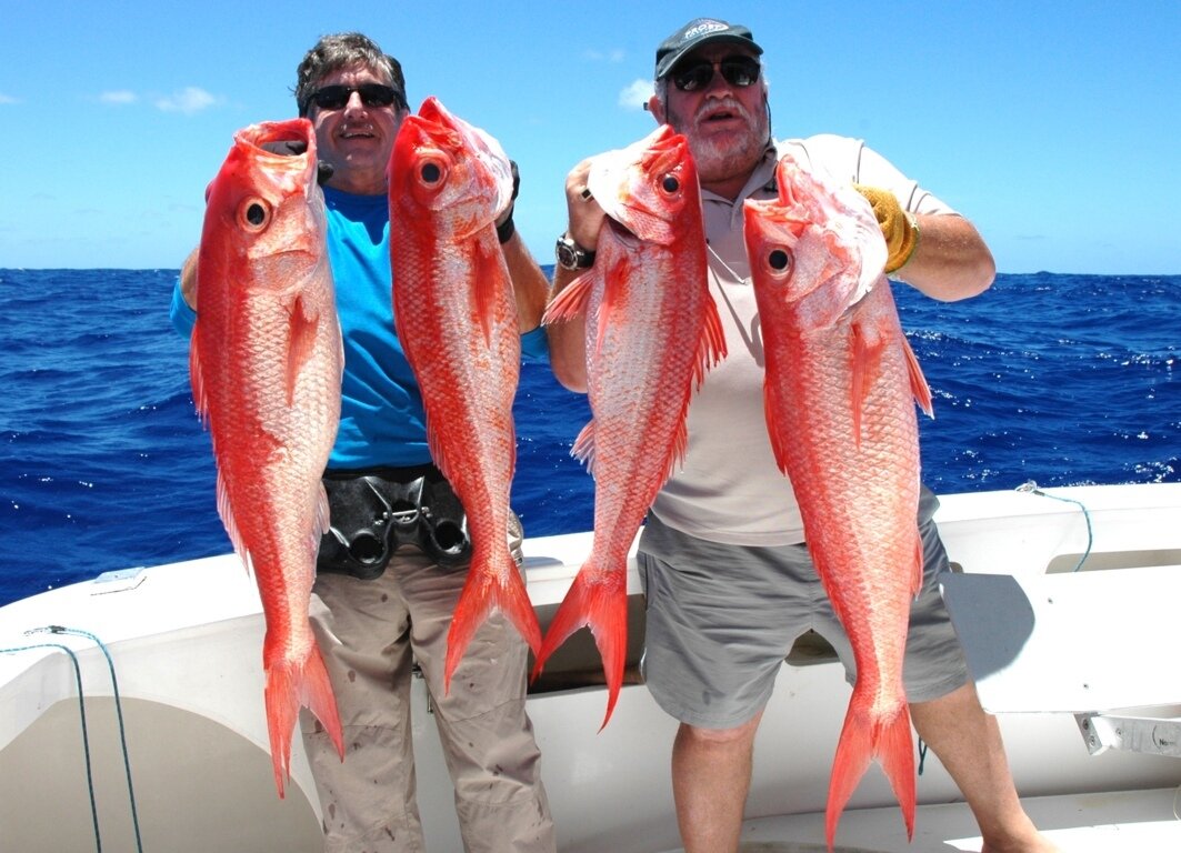 Etelis coruscans Longtail ruby snapper GameFishing