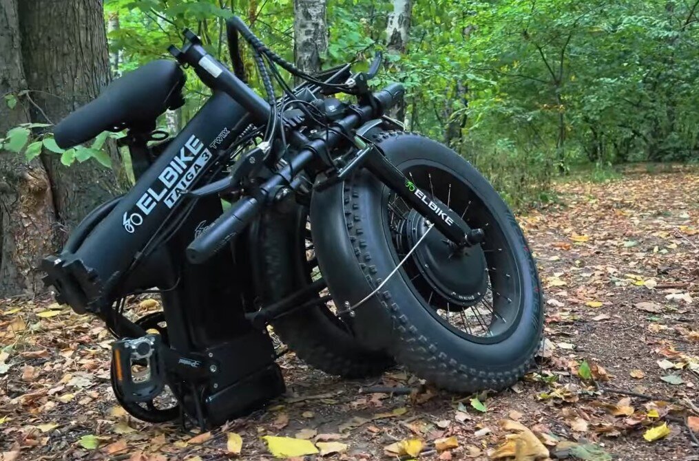 Elbike Taiga 3 TWIX: электро фэтбайк с ПОЛНЫМ ПРИВОДОМ и ОГРОМНЫМ ...