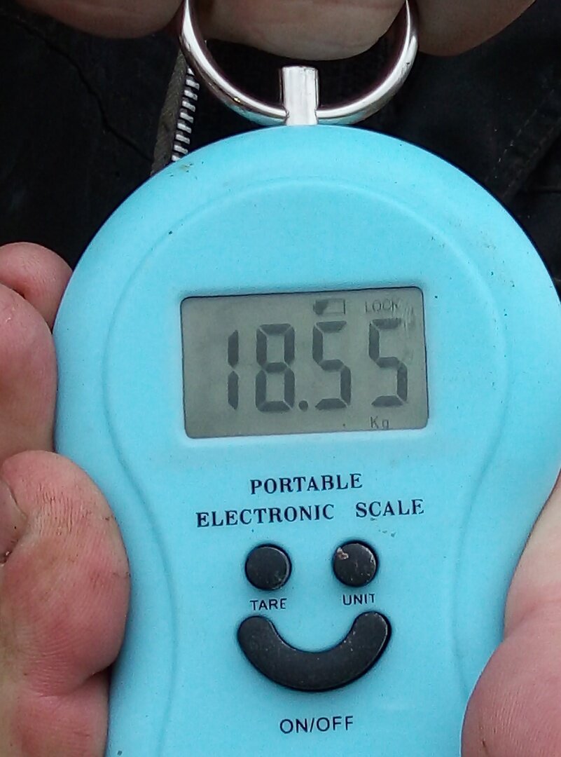 Индюшата-сложно ли их содержать?!? моё мнение.... | КАЗЯВКА | Дзен