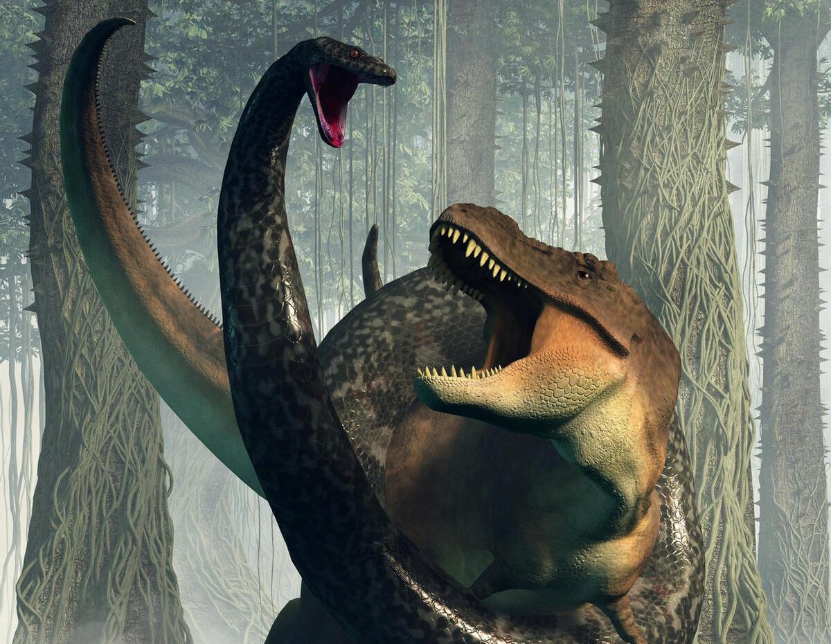 Titanoboa Monster Snake Vs T Rex