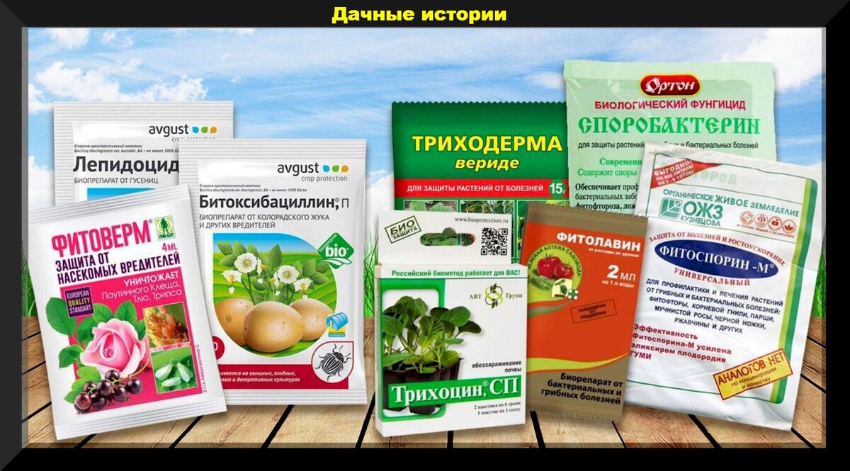 Восемь причин почему проверенные биопрепараты могут не сработать ...