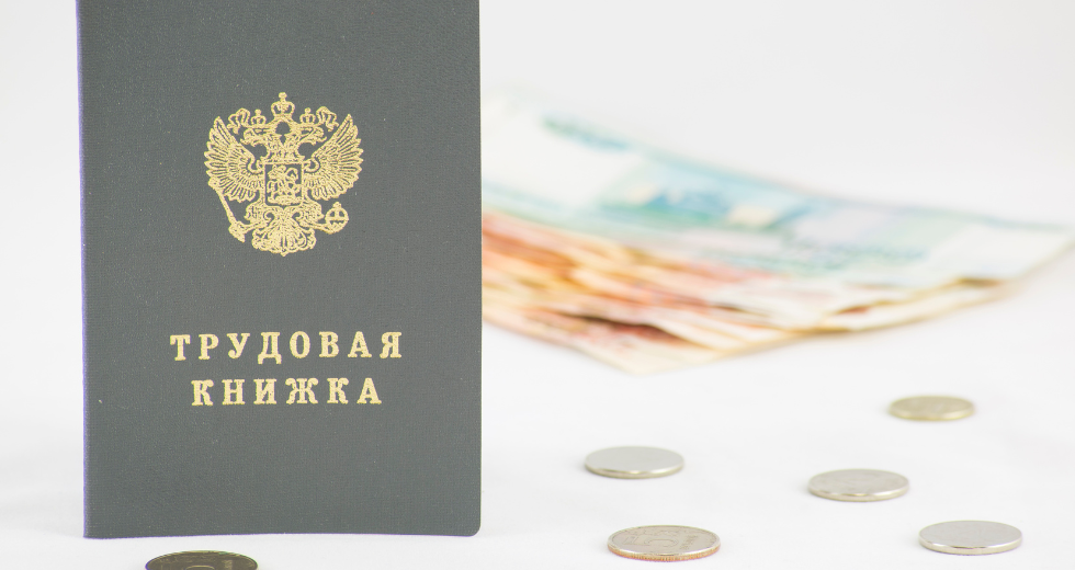 Трудовые книжки из ДНР и ЛНР можно продолжать вести | БюджетниК | Дзен