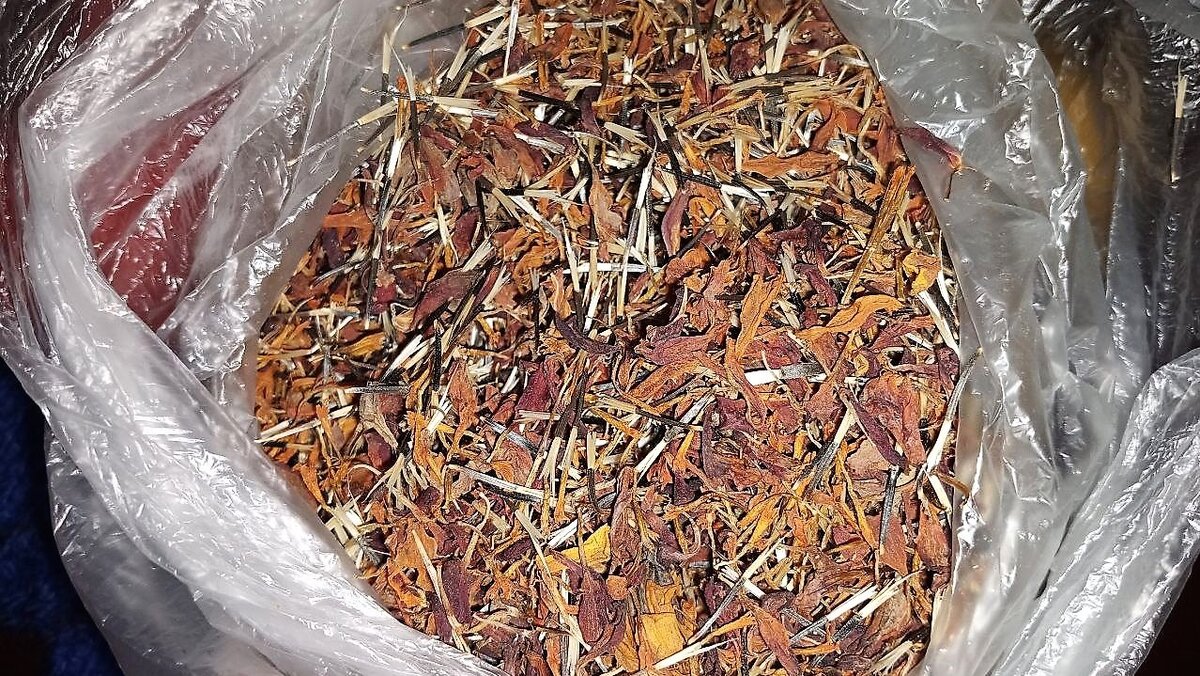 Какие цветы посадить на участке чтобы были красивые пышные и неприхотливые Блог Экономки Дзен