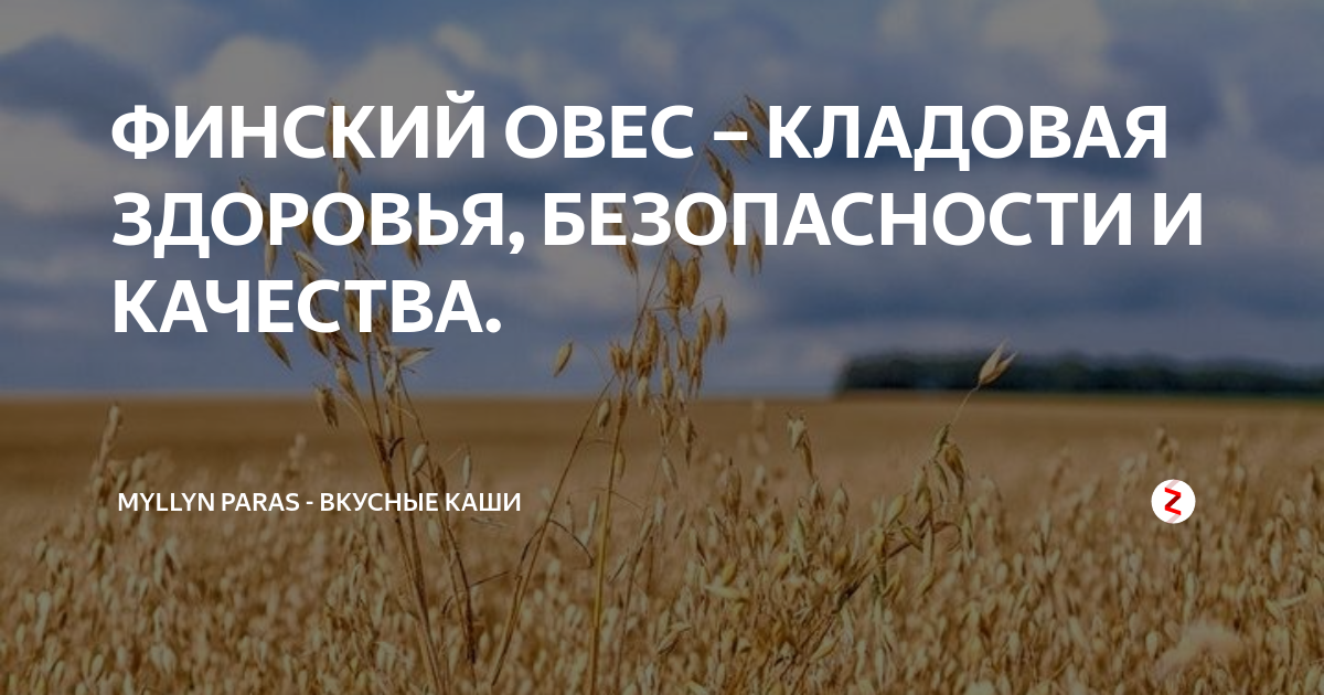 ФИНСКИЙ ОВЕС – КЛАДОВАЯ ЗДОРОВЬЯ, БЕЗОПАСНОСТИ И КАЧЕСТВА. | Myllyn ...