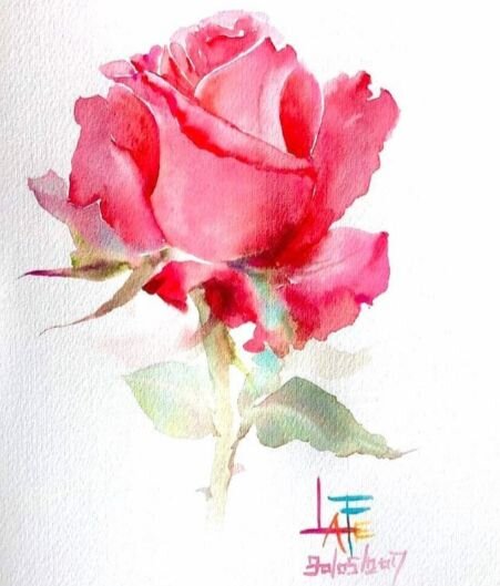 Влюбленный в розы: признанный в мире акварелист из Таиланда Ла Фе ...