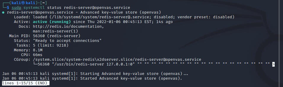 Установка и использование OpenVAS (GVM) на Kali Linux | Немного из мира ИБ | Дзен