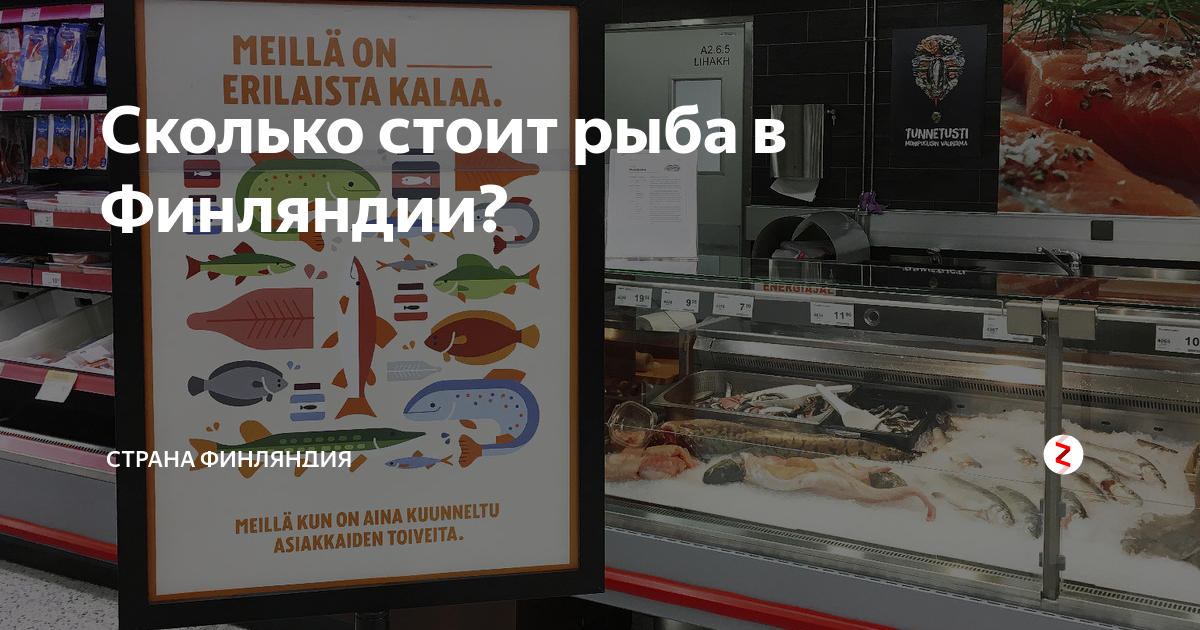 Сколько стоит рыба в Финляндии? | СТРАНА ФИНЛЯНДИЯ | Дзен