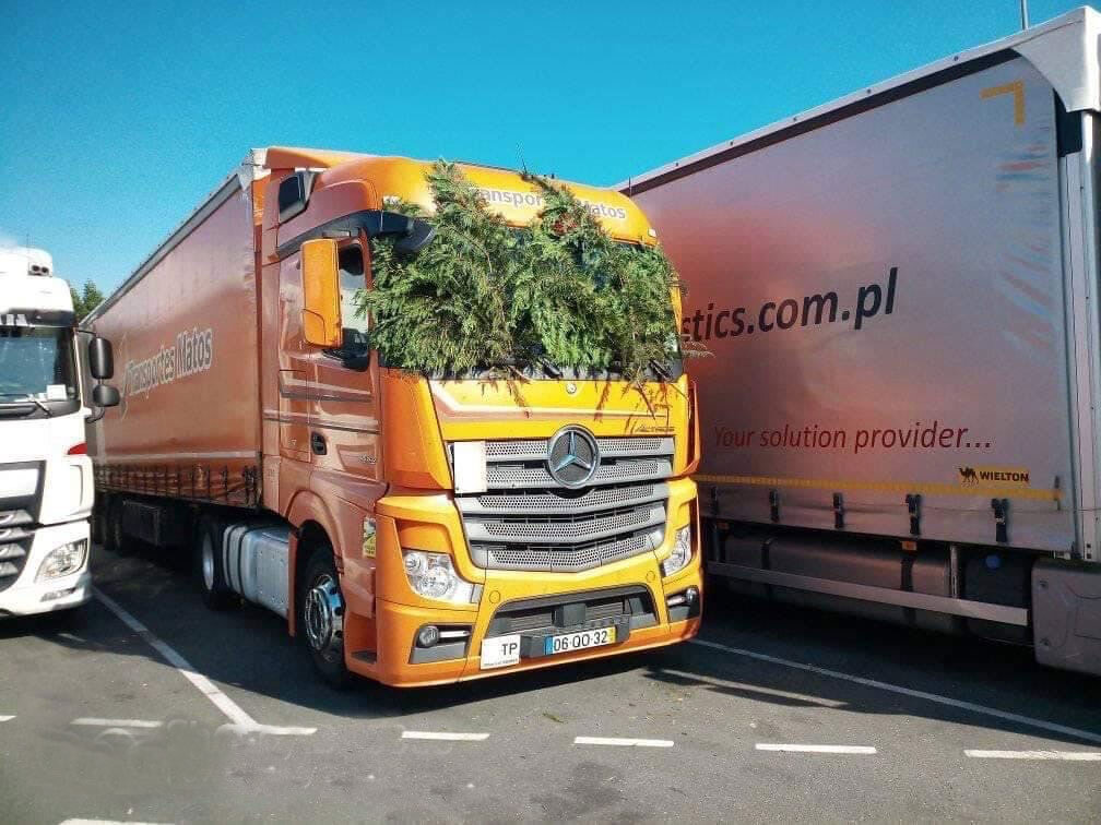 13 забавных и грустных фото про грузовики и дальнобойщиков | Все о грузовиках – Trucksplanet | Дзен