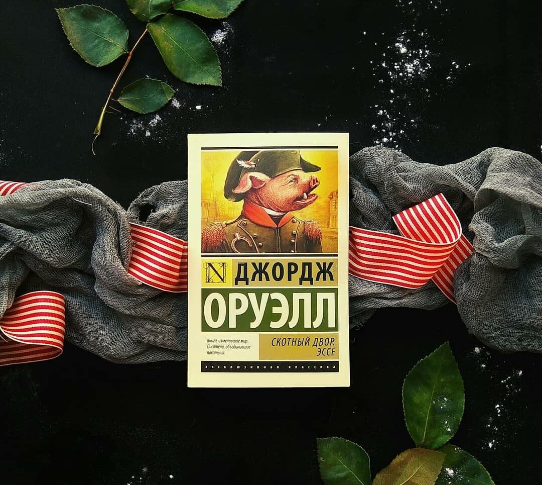 4 безумно интересные книги, которые можно прочитать за один день ...