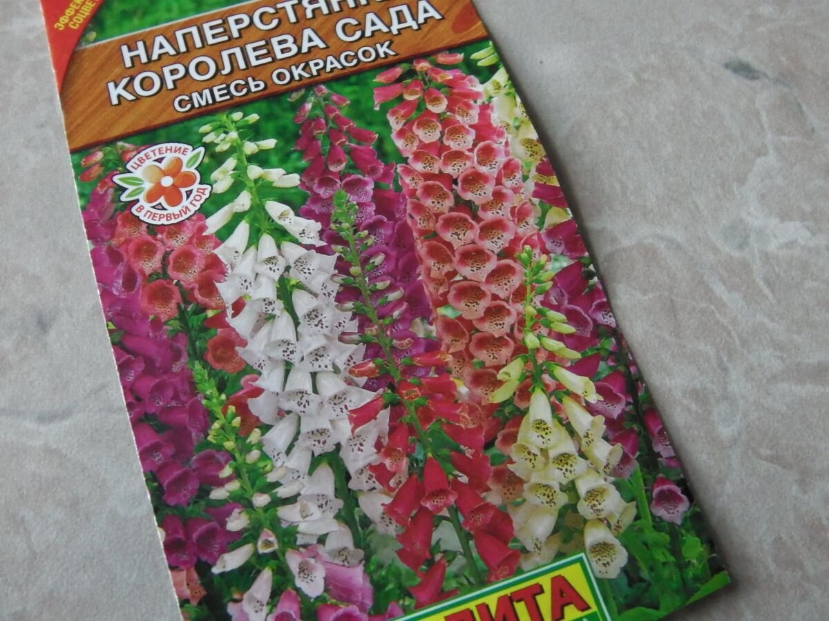 Ждала цветения наперстянки 2 года, и не зря — она преобразила и ...