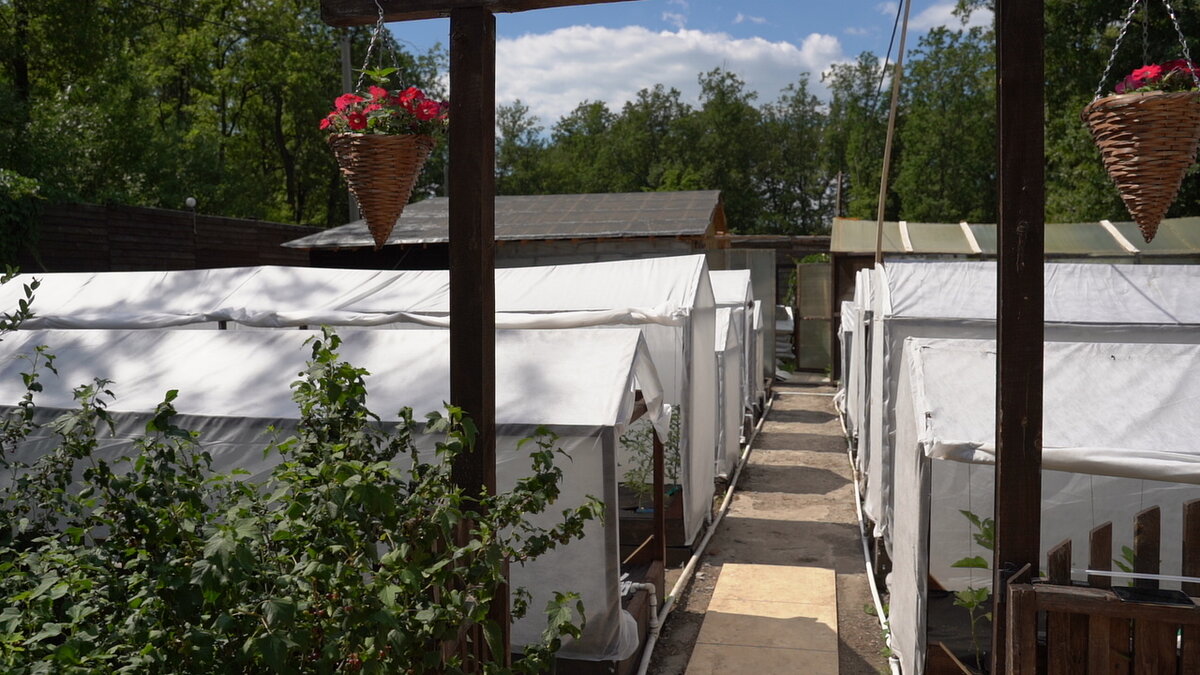 УСТРОЙСТВО ВЫСОКИХ ГРЯДОК НЕТИПИЧНОГО ФЕРМЕРА | Нетипичный фермер | Дзен