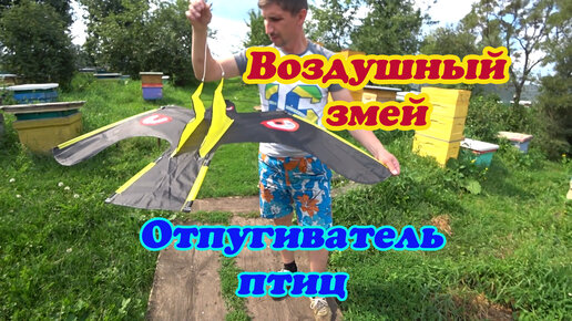 ПОЛУЧИЛИ НА ПАСЕКУ ОТПУГИВАТЕЛЬ ПТИЦ, ВОЗДУШНЫЙ ЗМЕЙ. | ПАСЕКА ...