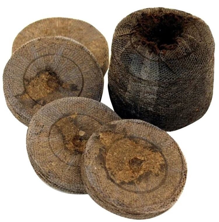 🥥Что такое кокосовый субстрат? Плюсы, минусы и его особенности ...