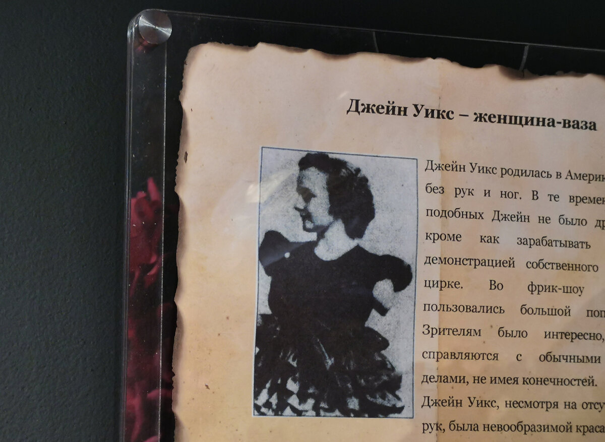 Женщина-ваза: как сложилась её судьба. И за что россиянину (человеку ...