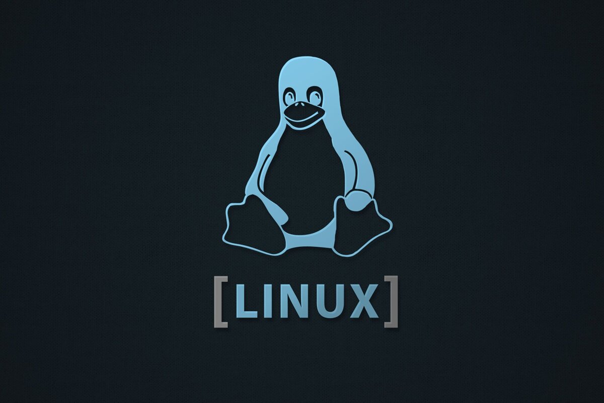 Можете ли вы запустить Linux без среды рабочего стола? | takoedelo | Дзен