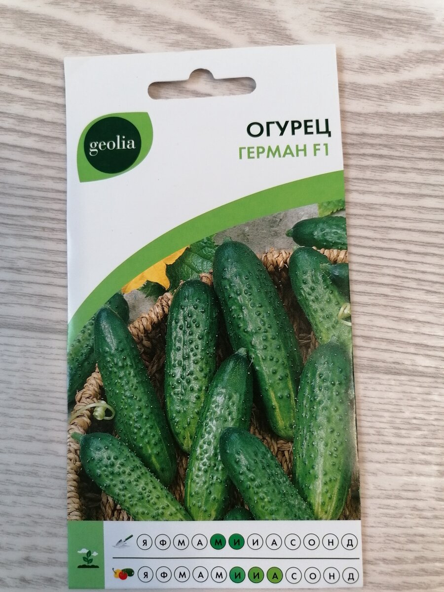 Пять сортов огурцов, которые сажаю каждый год. Они одаривают урожаем ...