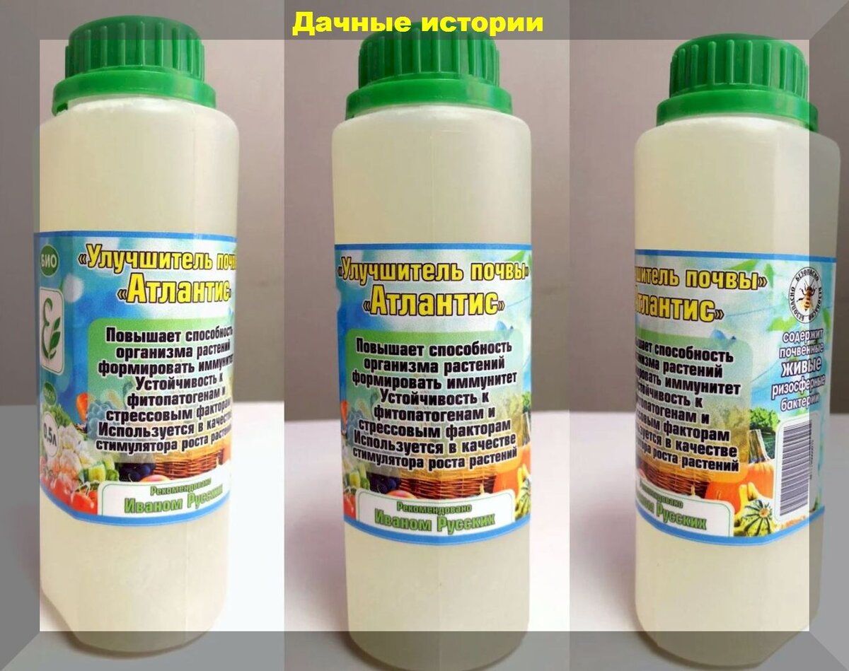 Подарок самой природы: великая польза триходермы для дачника | Дачные ...