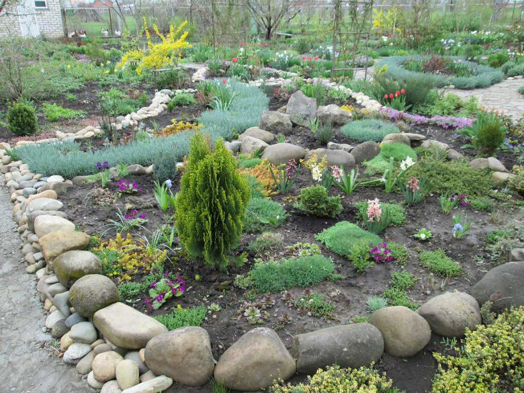 Сад в чистом поле. 2010 -2022 г . История создания сада. 2013 г. | МОЙ ...