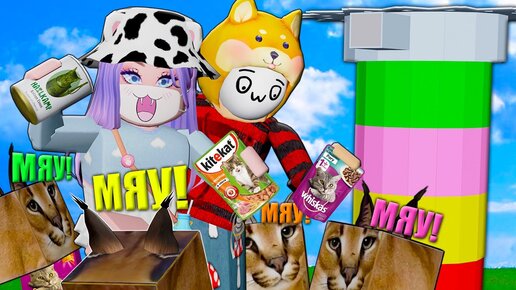 КОРМИМ КИСИКОВ С ЙОШИ В ТАВЕРЕ! Roblox Cat Tower | КОШКА ЛАНА | Дзен