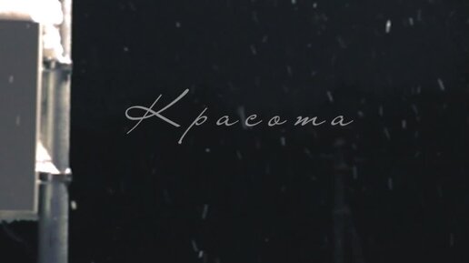 Simonoff channel | А снег идёт! и это здорово! | Дзен