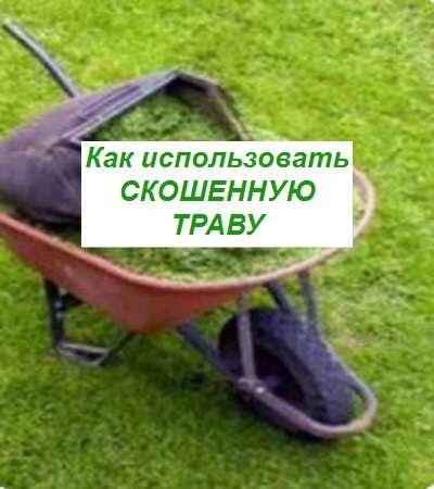 Как использовать скошенную траву | Дачный клуб | Дзен