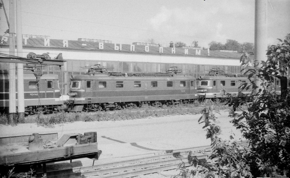 Небольшая подборка фотографий чебурашек | ПАНТОГРАФ | Дзен