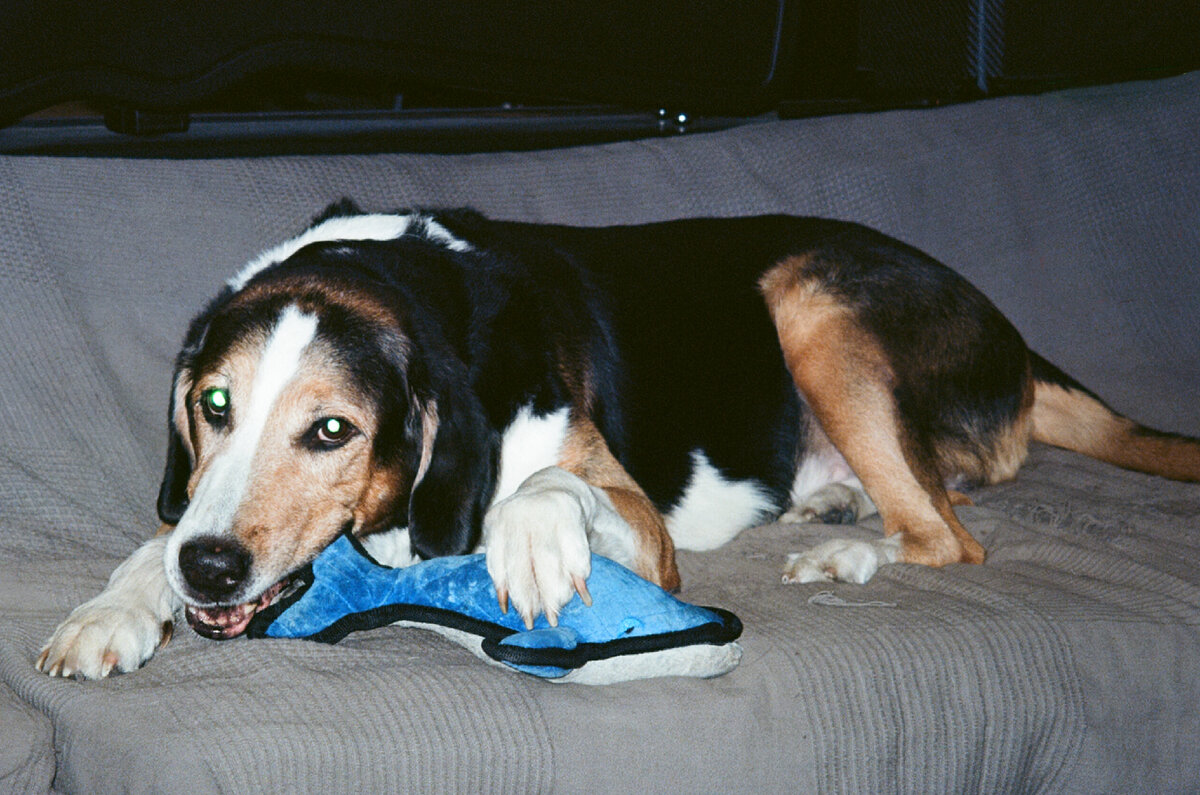 Плёночная фотокамера Olympus [mju:] - II (Примеры фотографий) | Виктор ...