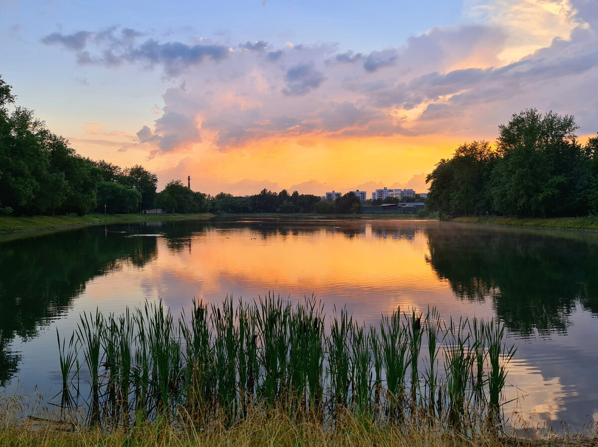 В КБ появилось пиво El Capulco, которое должно заменить Corona ...