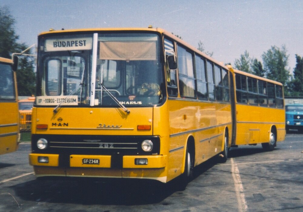 Ikarus 282: в поисках идеальной "гармошки" | НПАП №1 Икарус | Дзен