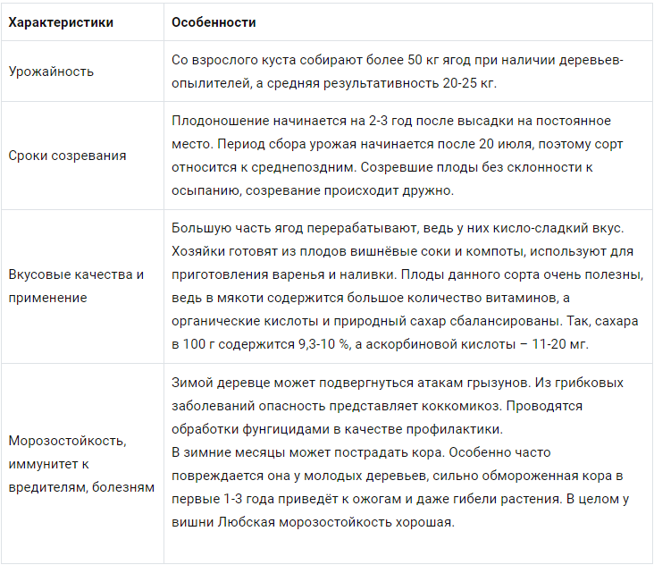 Вишня Любская: описание этого высокоурожайного сорта. | Дачник.RU | Дзен