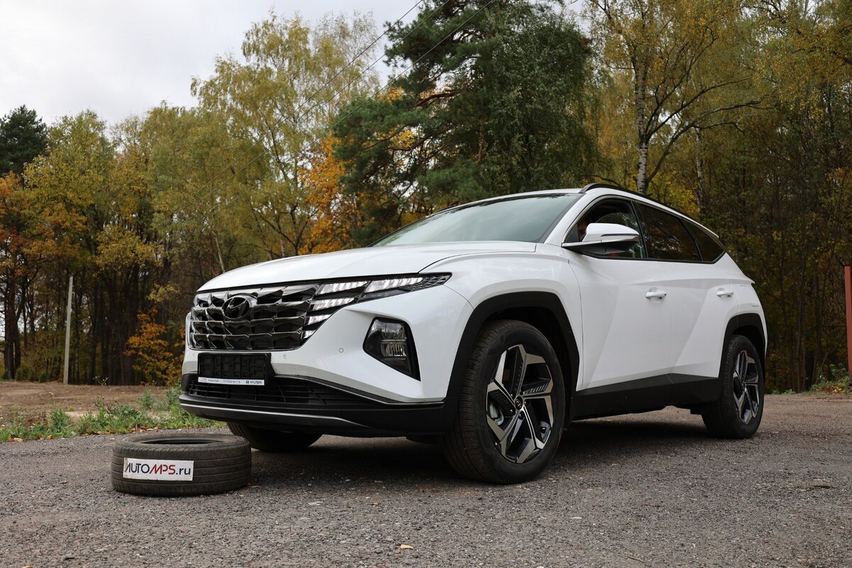 Новый Kia Sportage или Hyundai Tucson? Корейский выход | AUTOMPS | Дзен