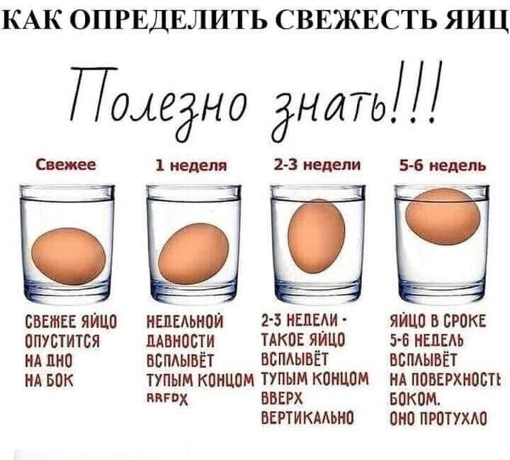 Как определить свежесть яйца | Food_Pugovka | Дзен
