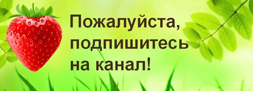 Томат "Мятежный звездный истребитель ведущий" (для фанатов "Звездных ...