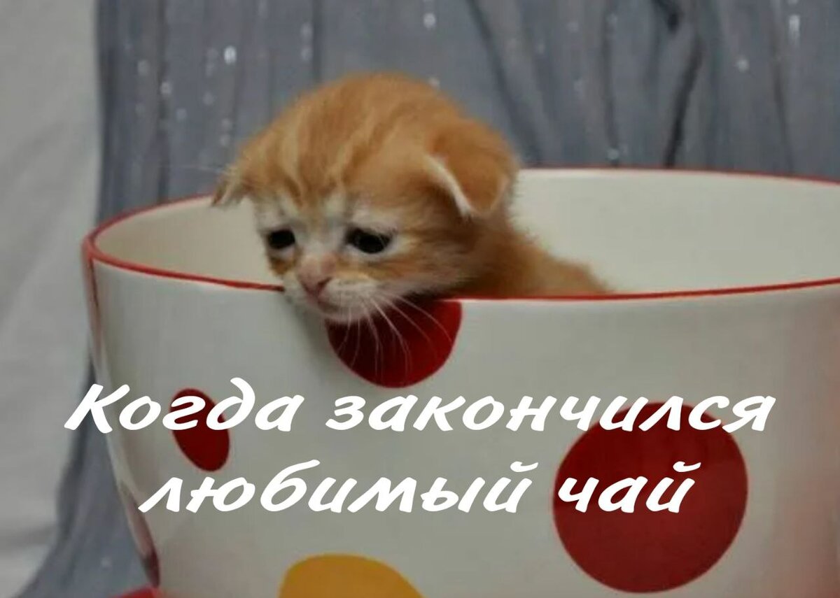 Мемы про чай 2022 года Aroma Tea Coffee Дзен