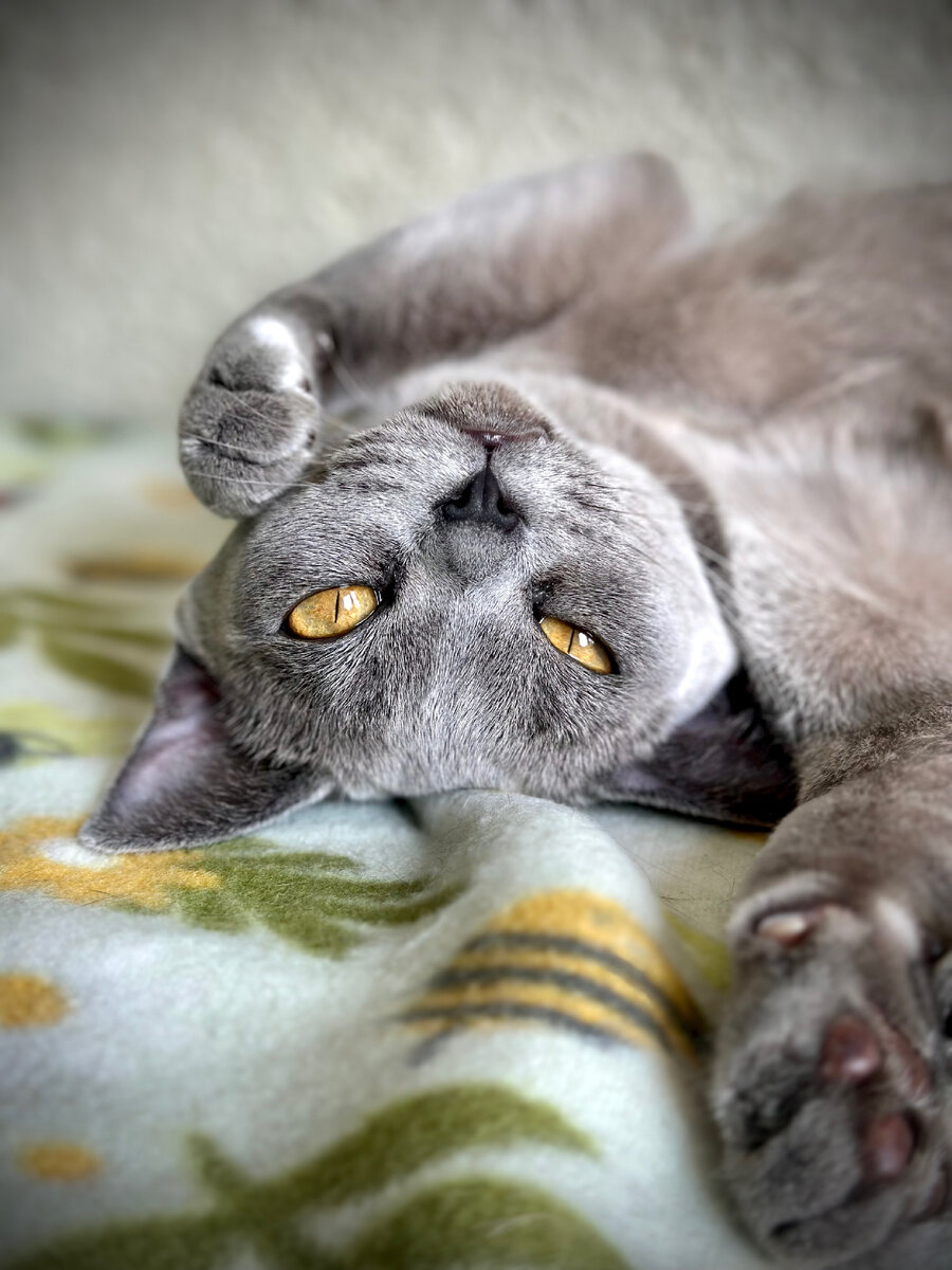 ПО-РАЗНОМУ БЫВАЕТ, ПО-ВСЯКОМУ СЛУЧАЕТСЯ: ТО МЫ ВСТРЕЧАЕМСЯ, ТО ...