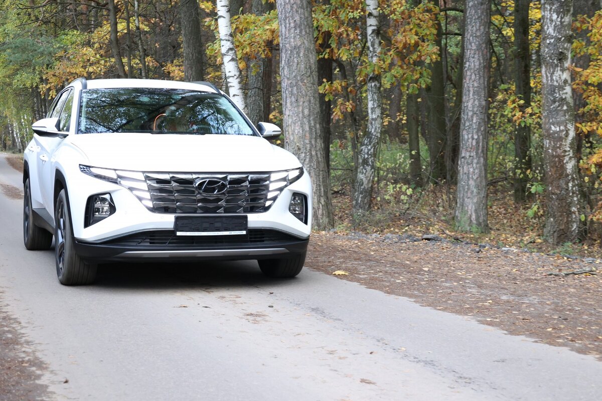Новый Kia Sportage или Hyundai Tucson? Корейский выход | AUTOMPS | Дзен